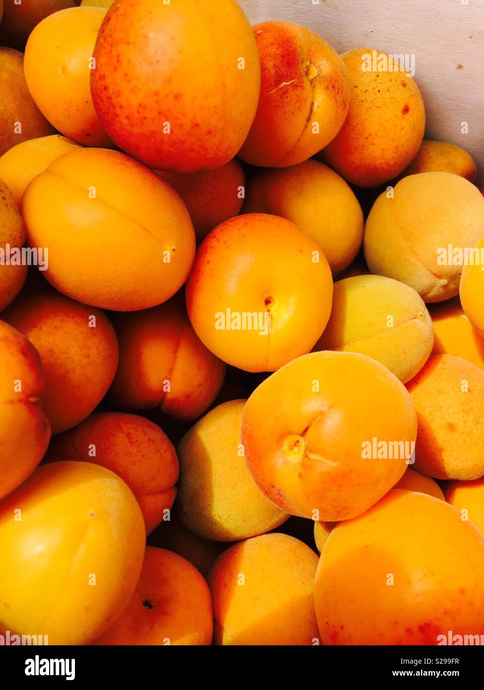 Apricot fresh hi-res stock photography and images - Alamy