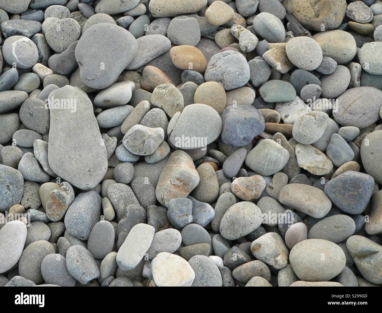 Beach pebbles. All shapes and sizes Stock Photo - Alamy