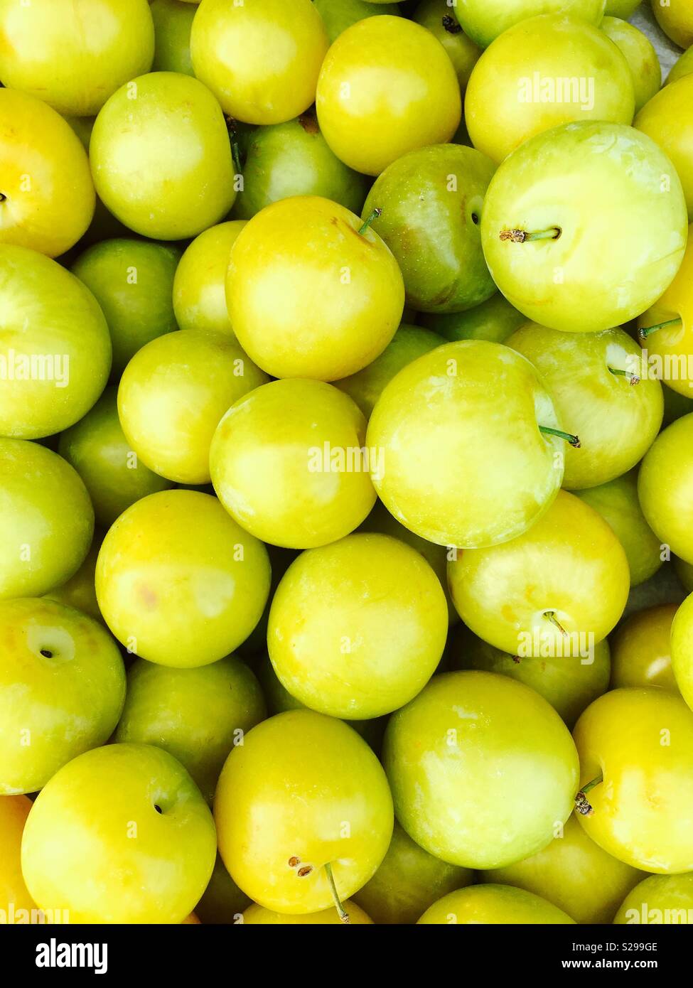 Fresh from farm hi-res stock photography and images - Alamy