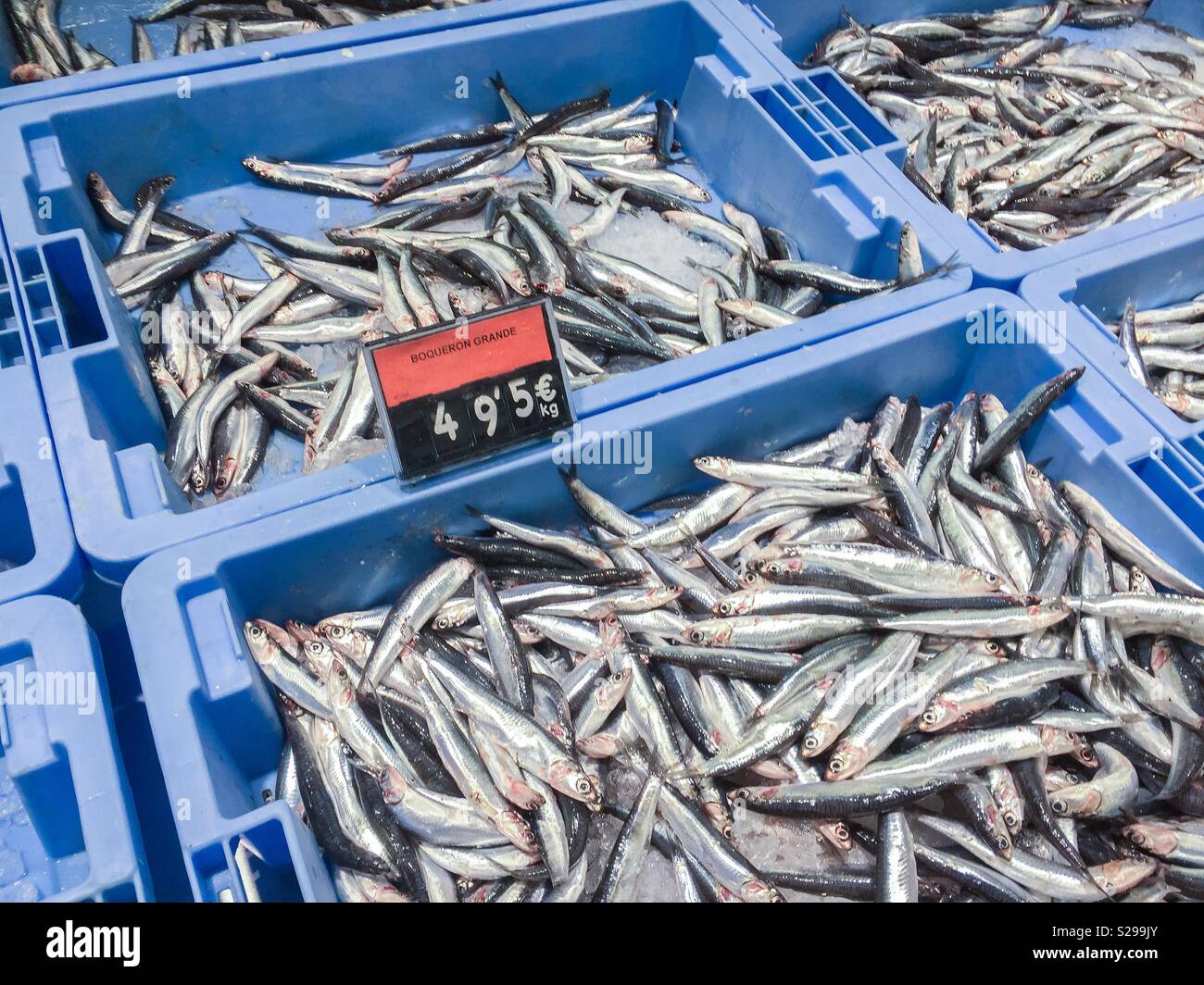 Netholi or kozhuva or anchovy fish hi-res stock photography and images ...