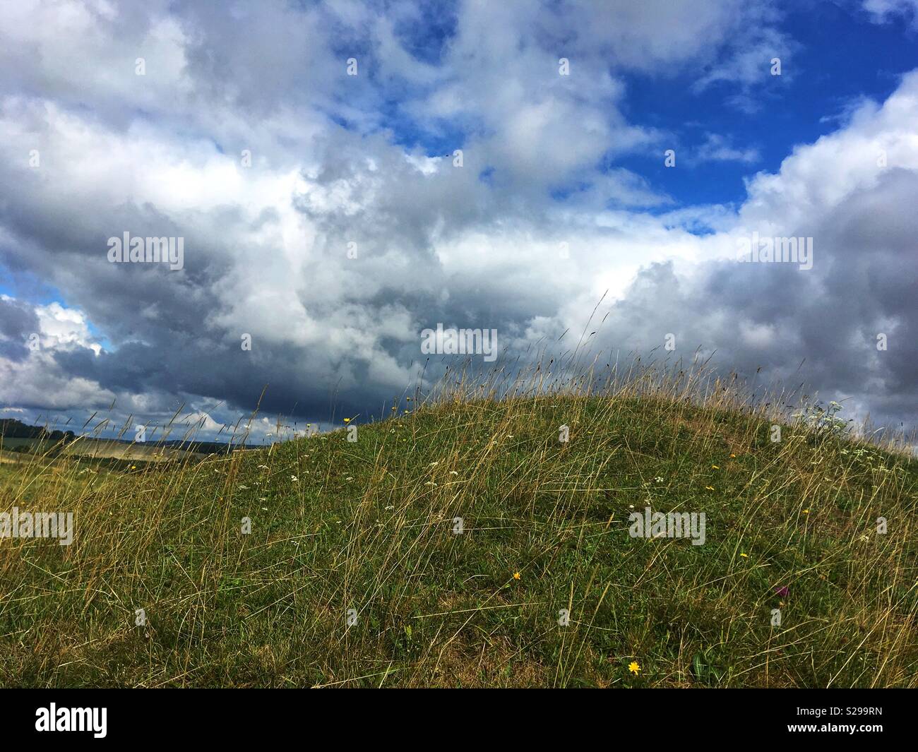 Grass slope hi-res stock photography and images - Alamy