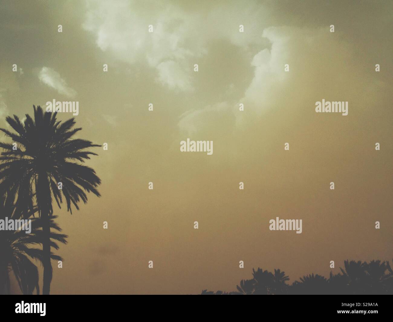 Dramatic light during a sandstorm in Morocco Stock Photo - Alamy
