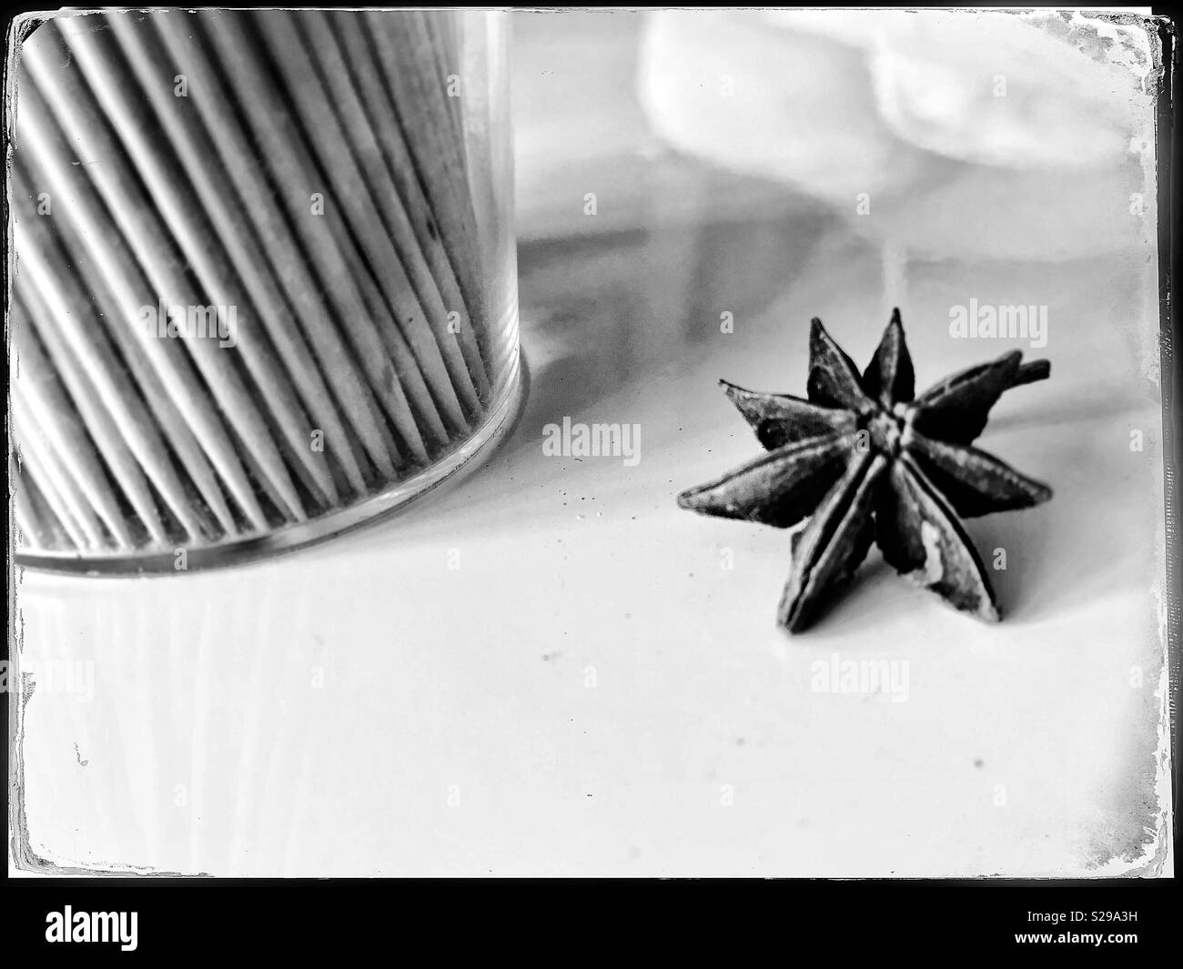 Star Anise Stock Photo Alamy star-anise-stock-photo-alamy