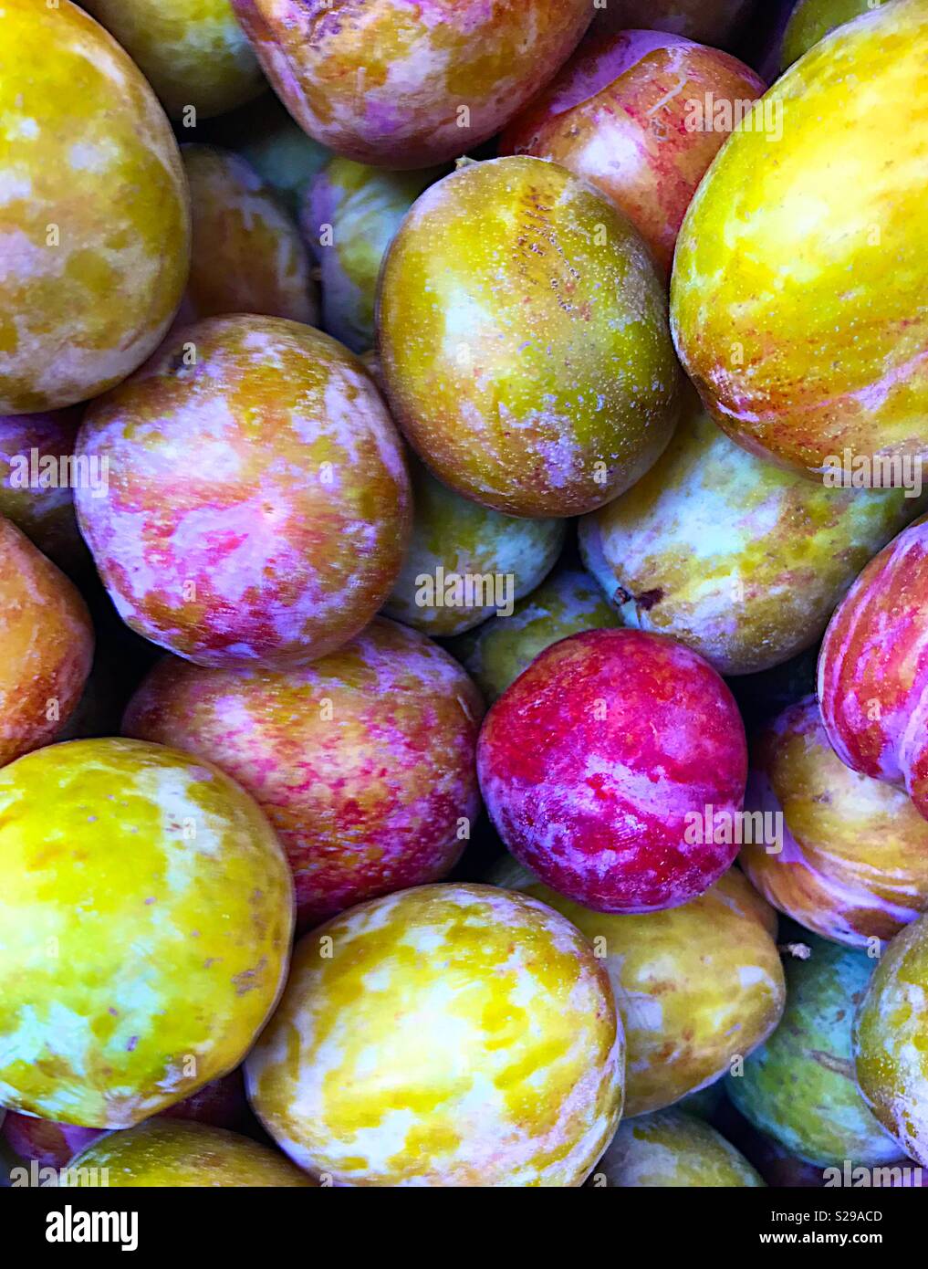 Pluots hi-res stock photography and images - Alamy
