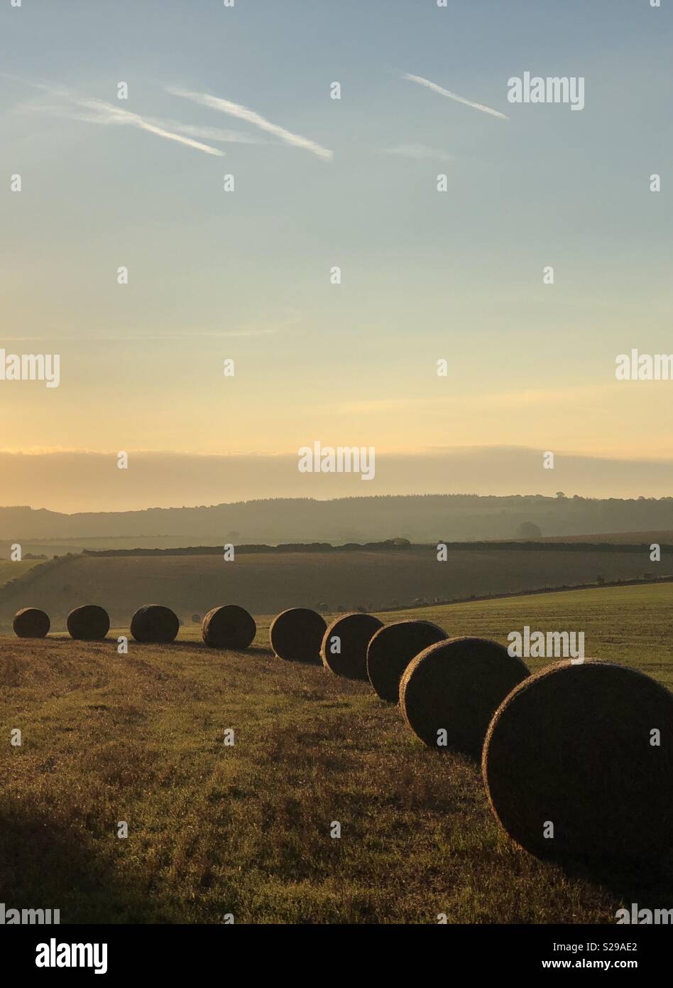 Hay barrel hi-res stock photography and images - Alamy