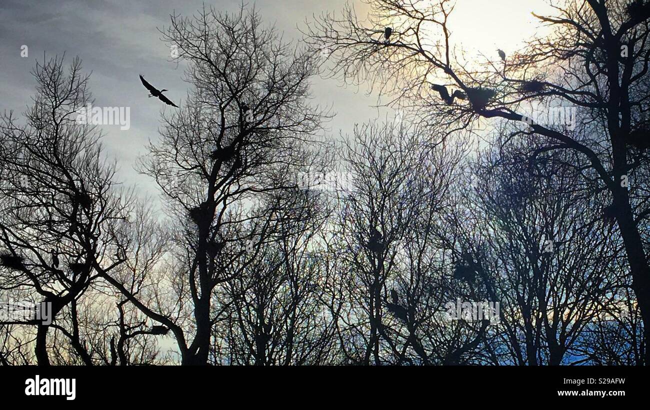 Blackpool Scenery High Resolution Stock Photography and Images - Alamy
