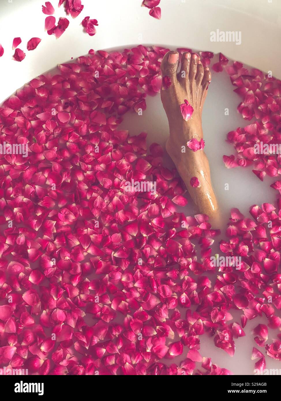 Woman showing her foot out of a rose petal bath Stock Photo - Alamy