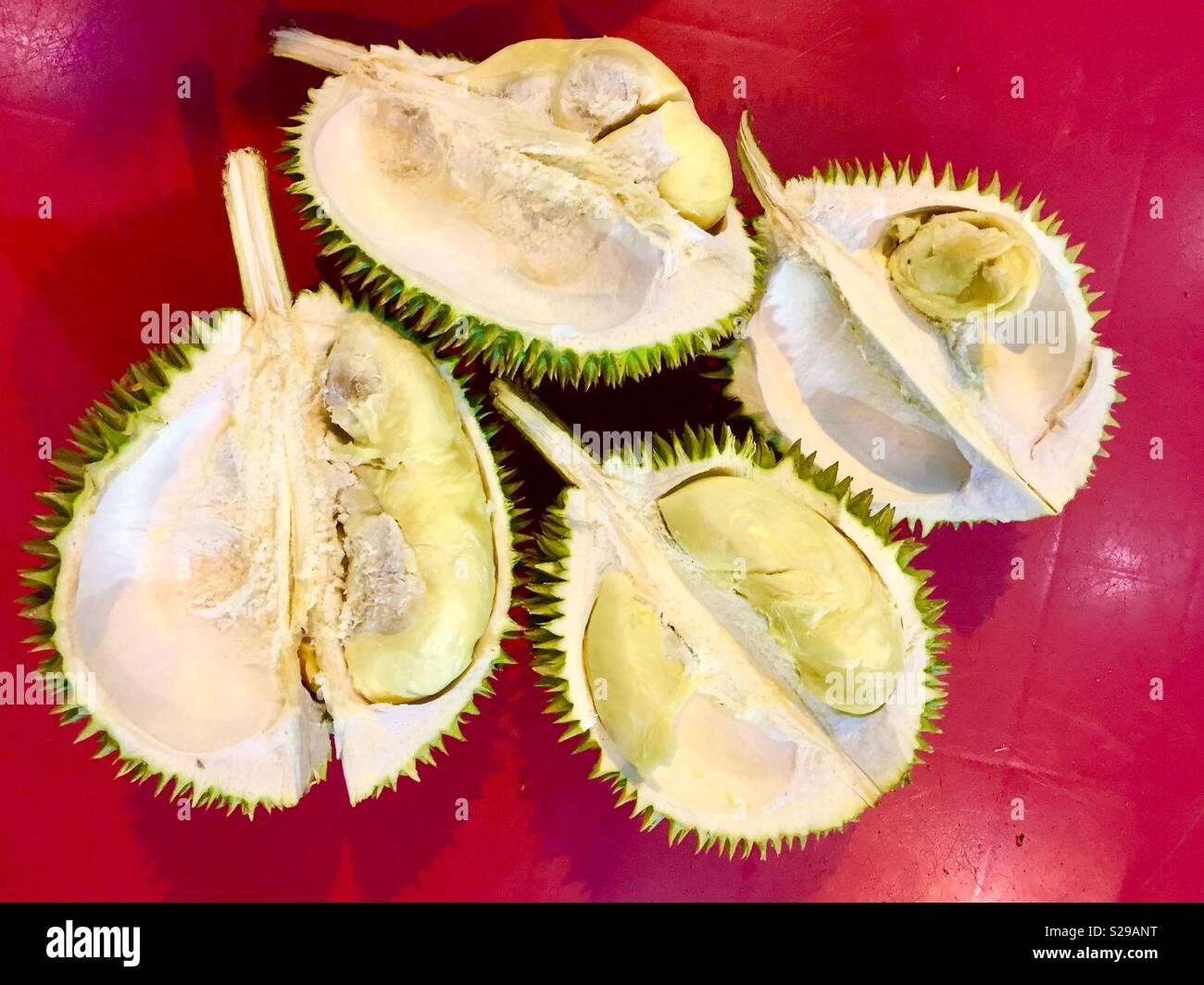 Eating durian in Taman Tun Dr Ismail, Kuala Lumpur Stock Photo - Alamy