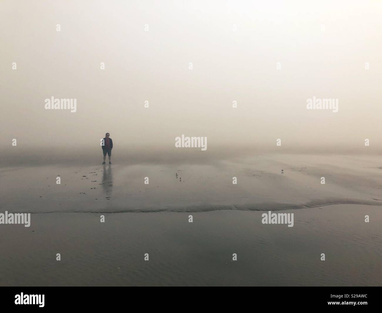 Man standing alone at beach hi-res stock photography and images - Alamy