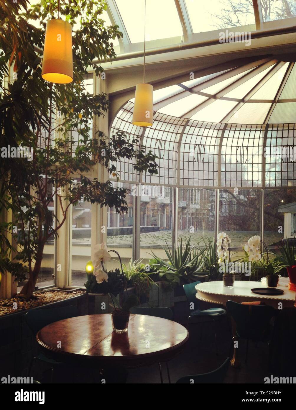 Indoor garden cafe Stock Photo - Alamy