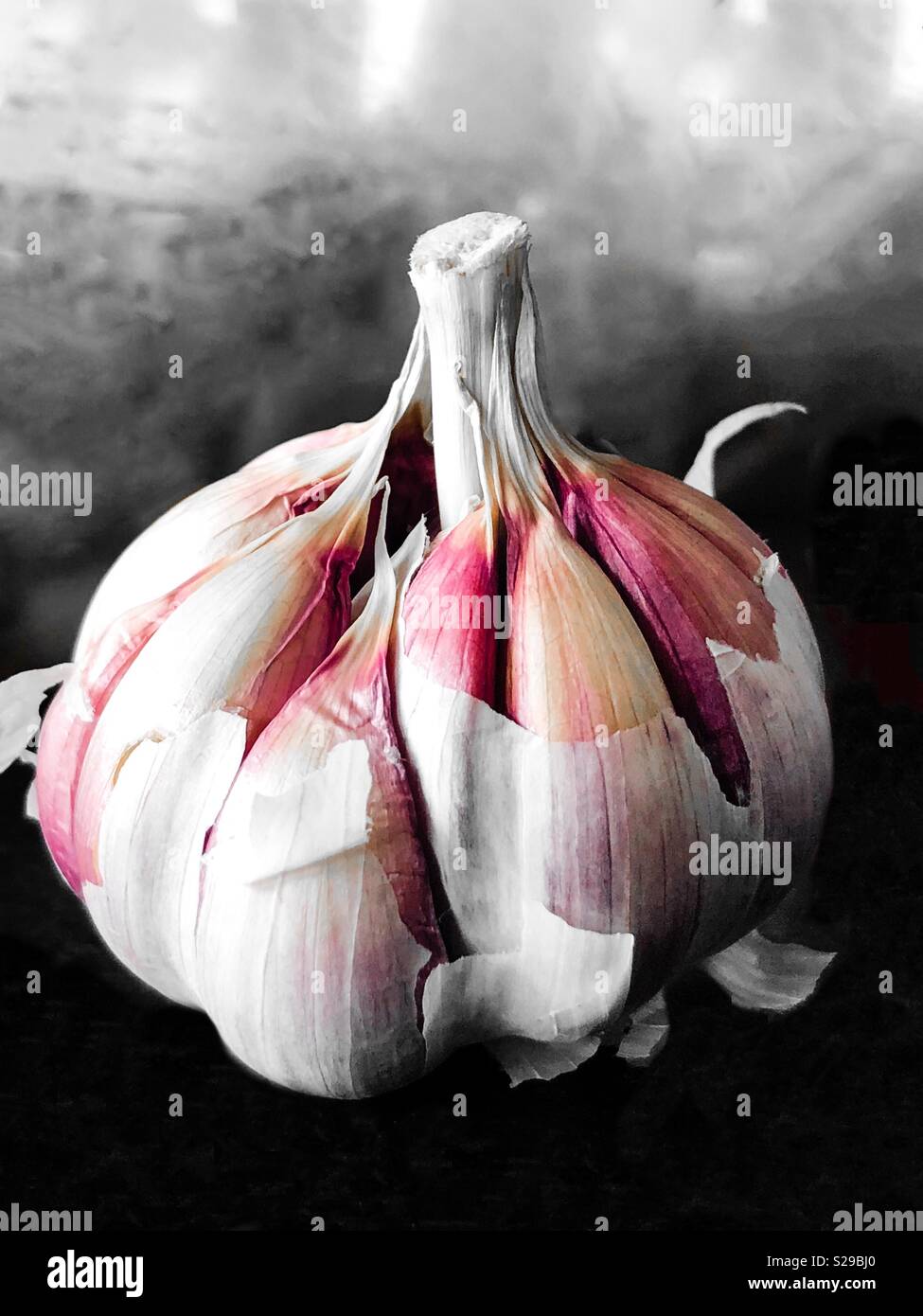 A garlic bulb with cloves eager to be peeled Stock Photo - Alamy