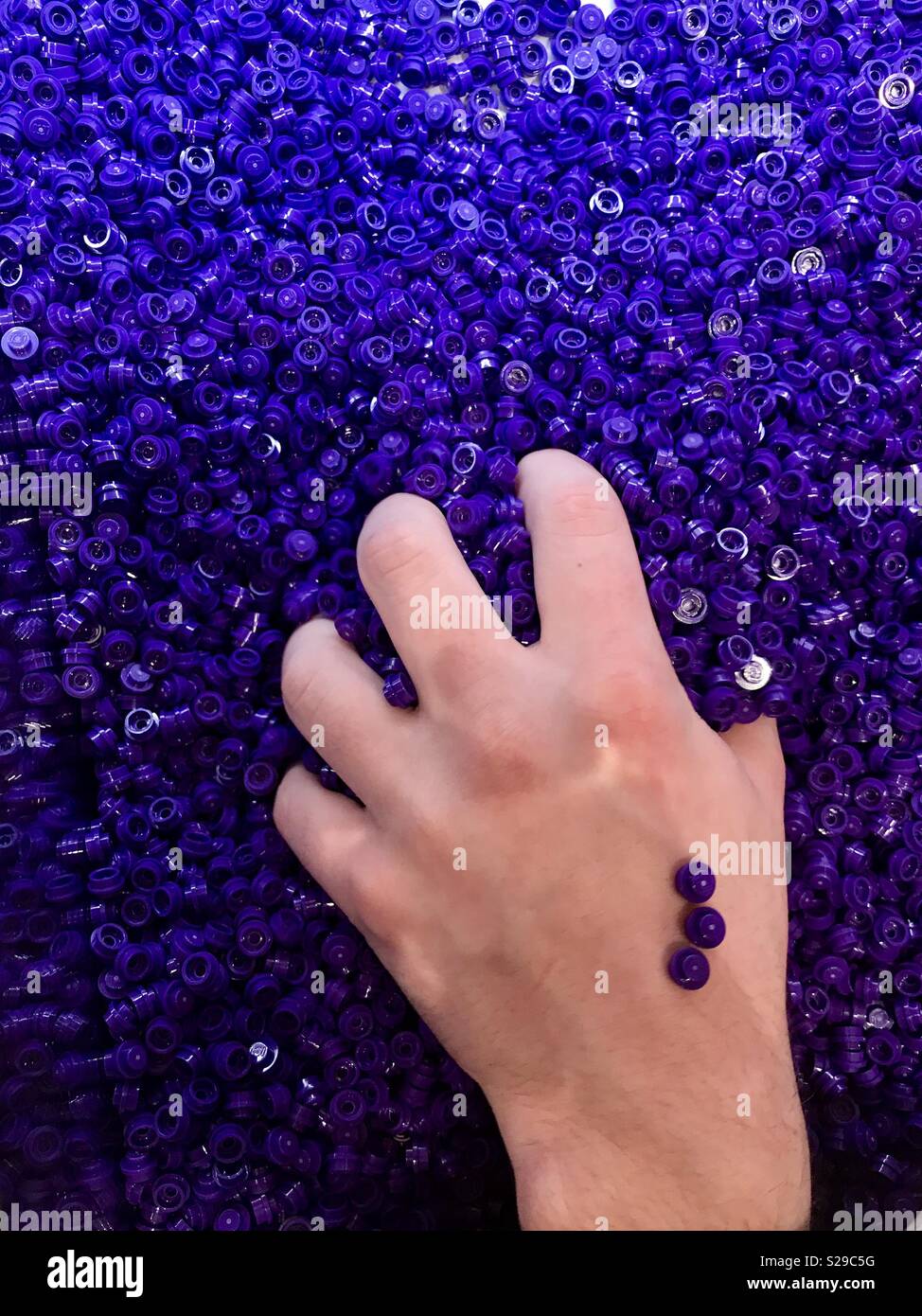 Hand in purple LEGO blocks Stock Photo - Alamy