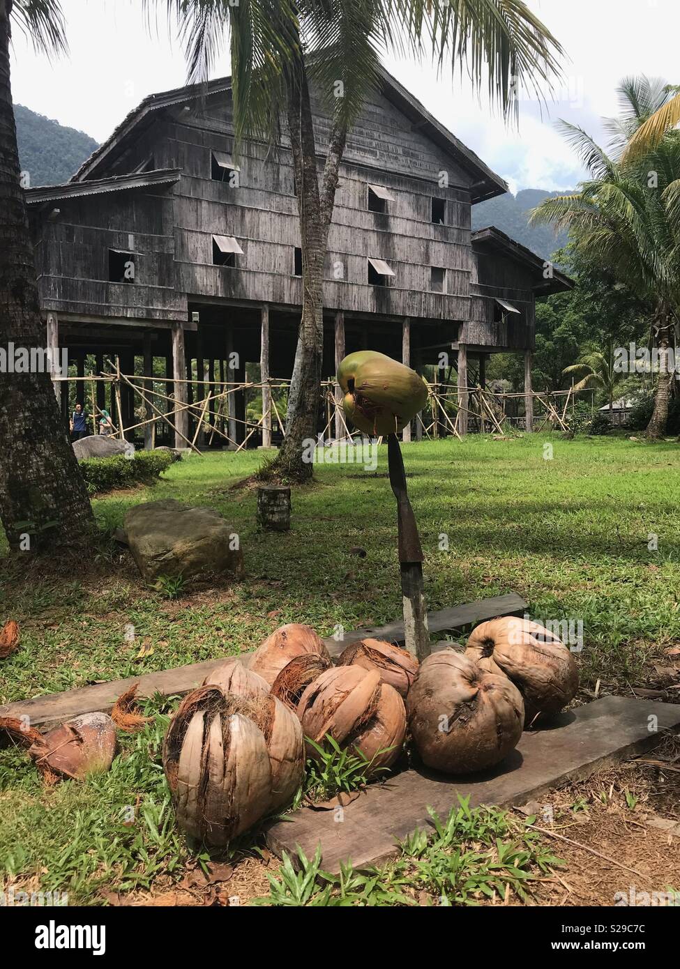 Coconut n hut Stock Photo - Alamy