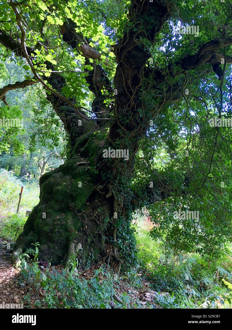 Chirk wales hi-res stock photography and images - Alamy