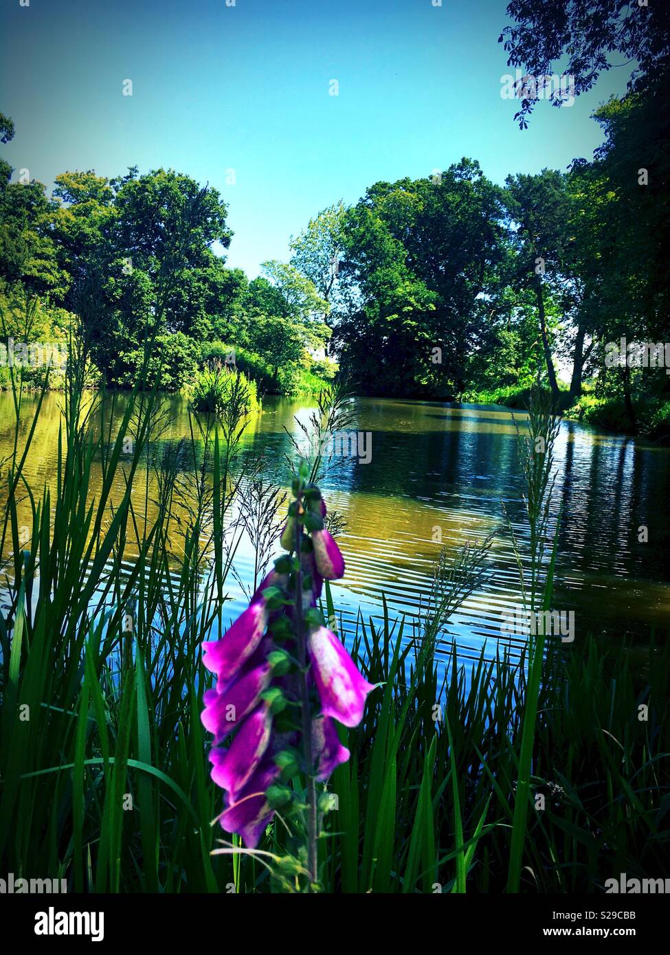 Wandered hi-res stock photography and images - Alamy