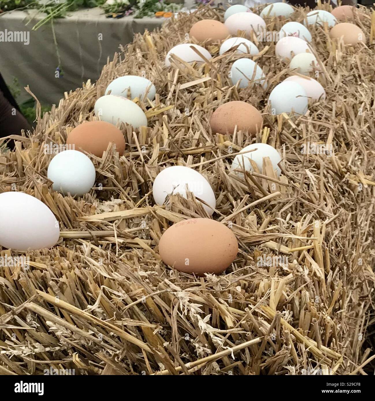 Free range eggs Stock Photo - Alamy