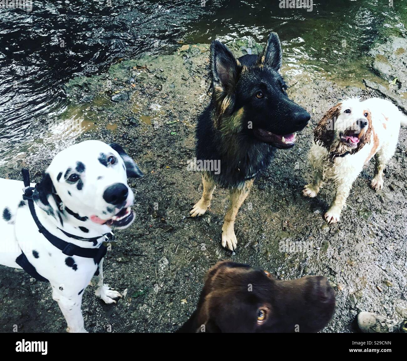 Play date hi-res stock photography and images - Alamy