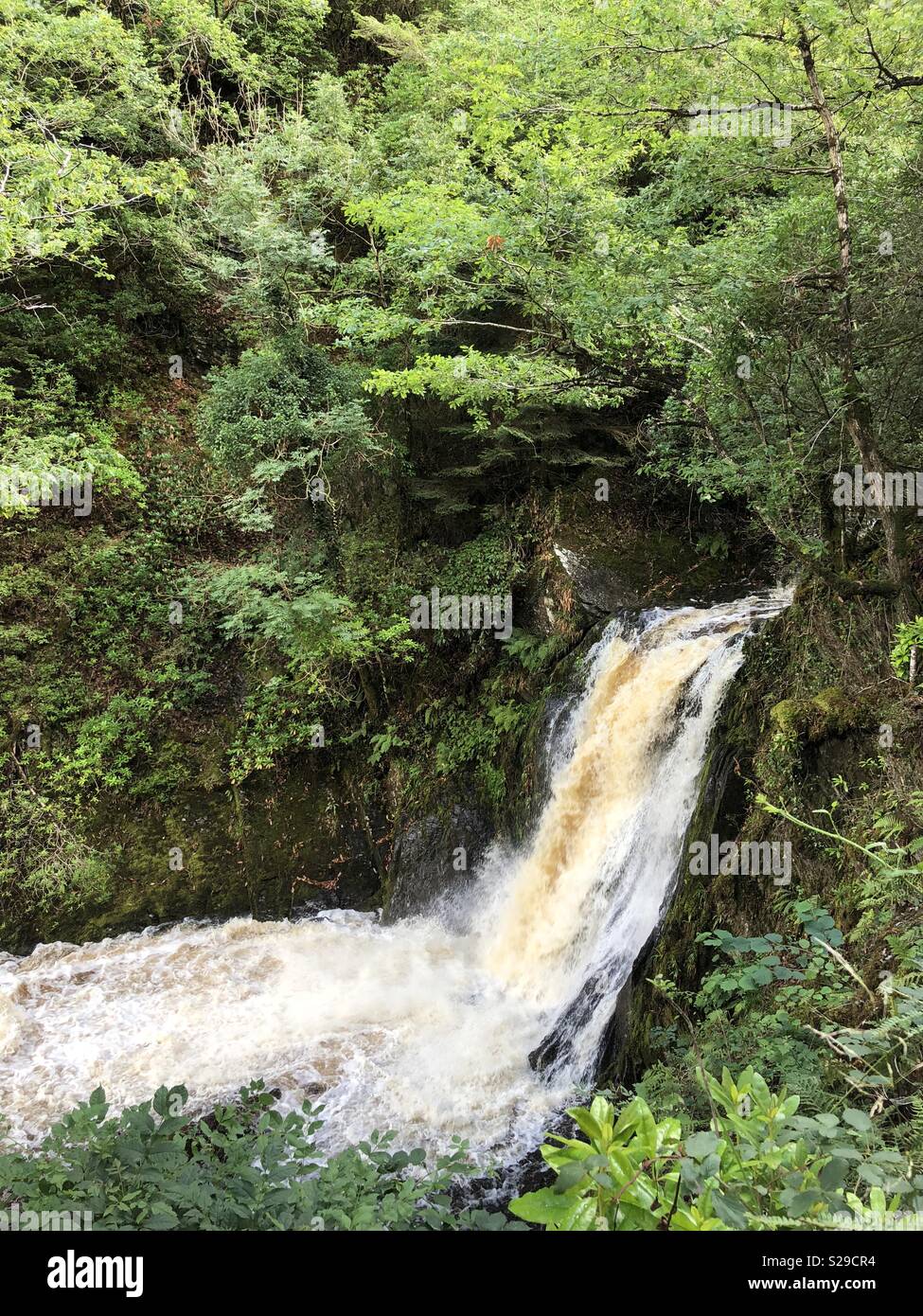 Devil’s bridge waterfall wales hi-res stock photography and images - Alamy