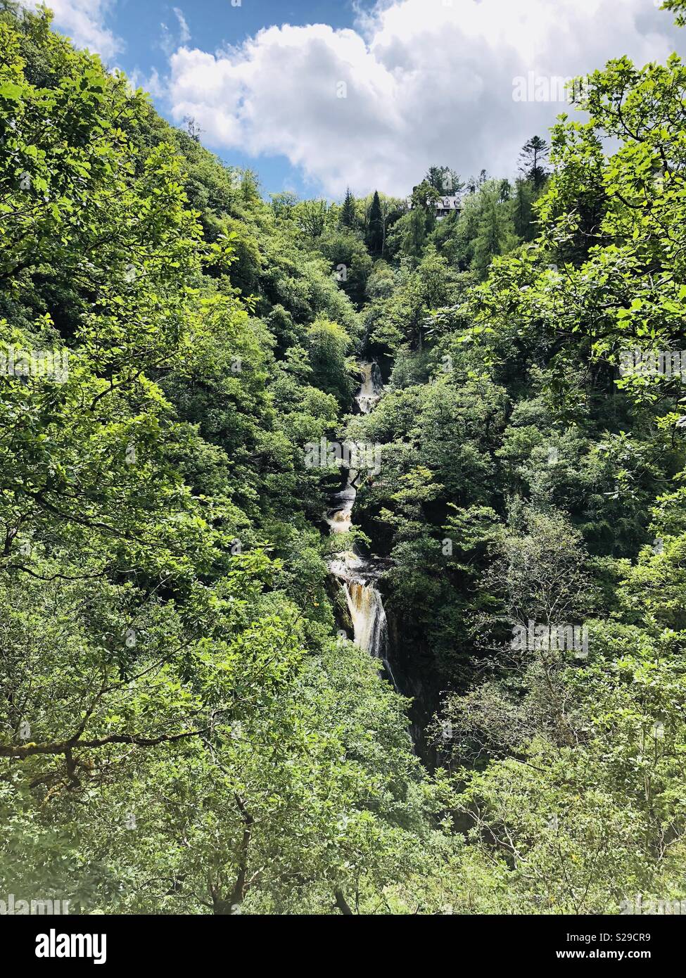 Devil’s bridge waterfall wales hi-res stock photography and images - Alamy