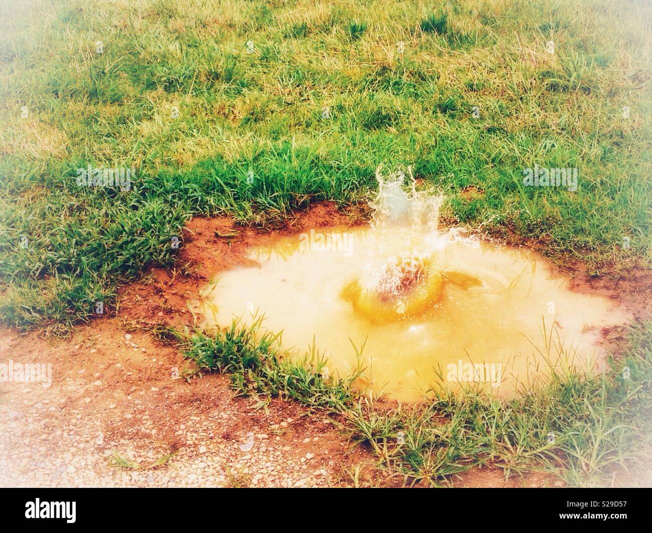 Small puddle splash Stock Photo - Alamy