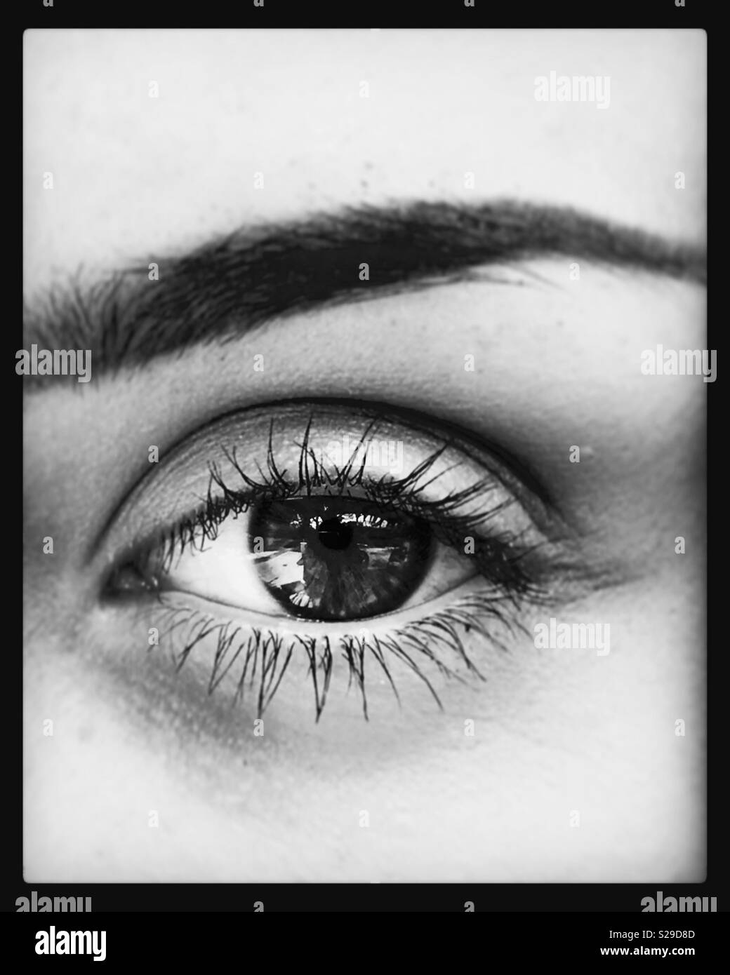 Wisdom insight hi-res stock photography and images - Alamy