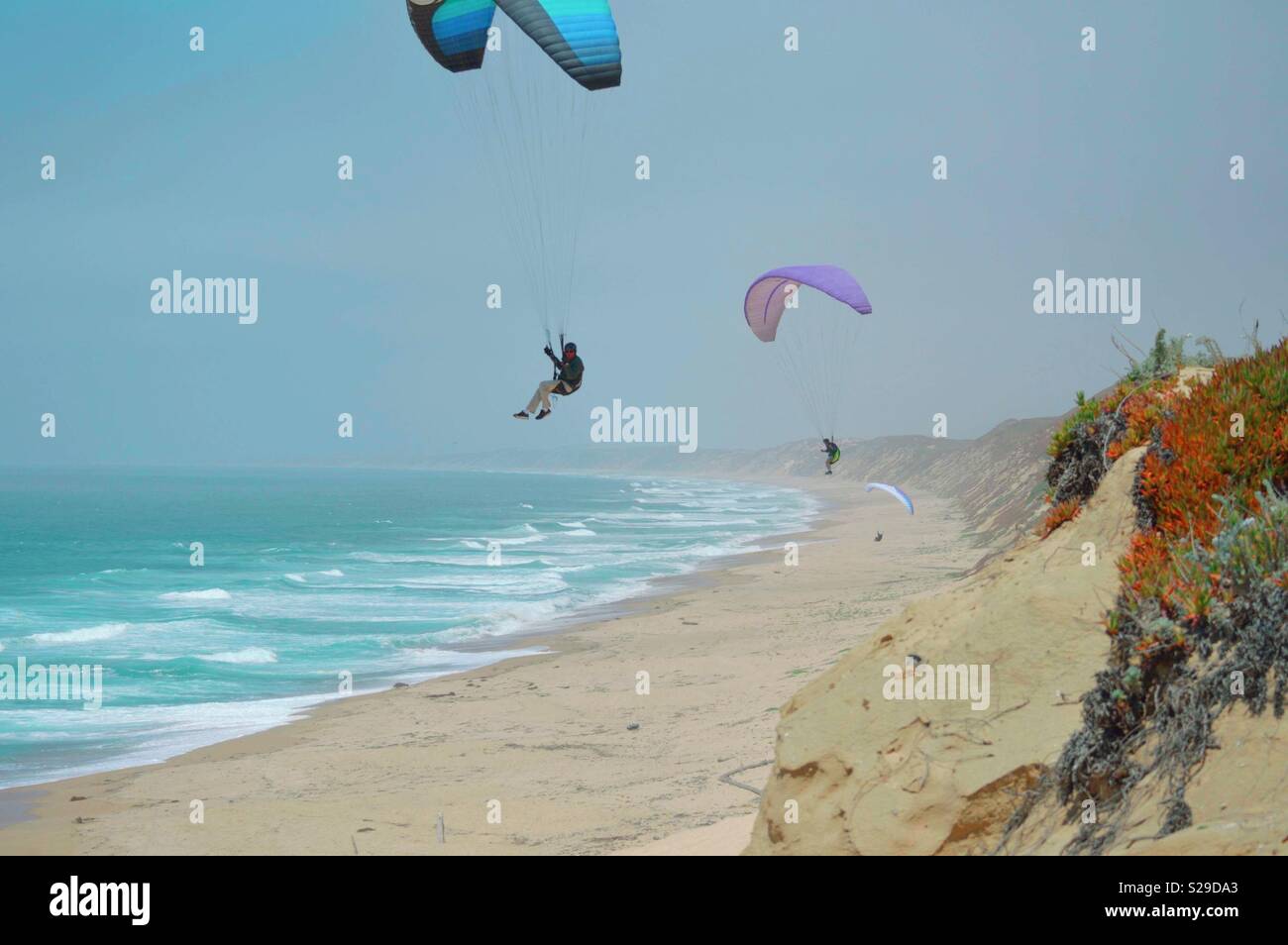 Two people paragliding above a beach Stock Photo - Alamy