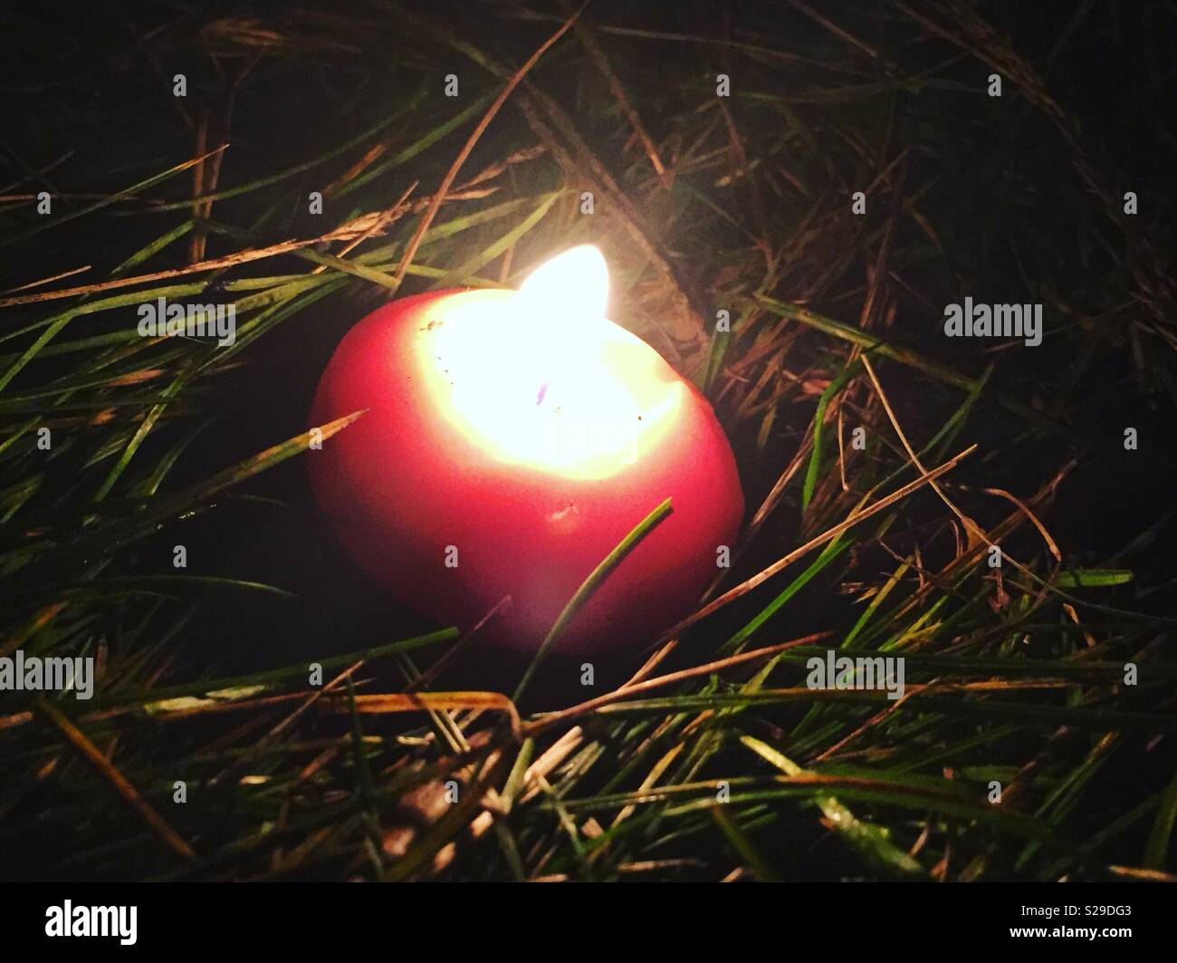 The only source of light hi-res stock photography and images - Alamy