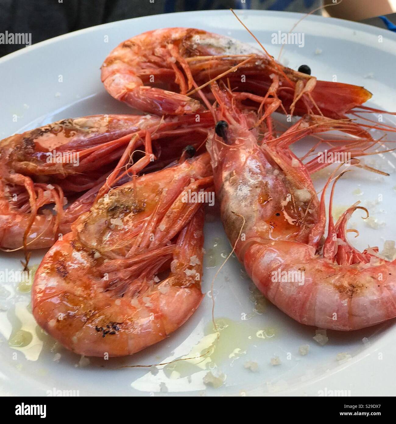 Giant gambas hi-res stock photography and images - Alamy