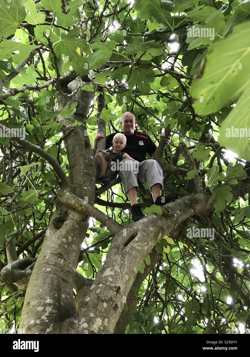 Father leaves hi-res stock photography and images - Alamy