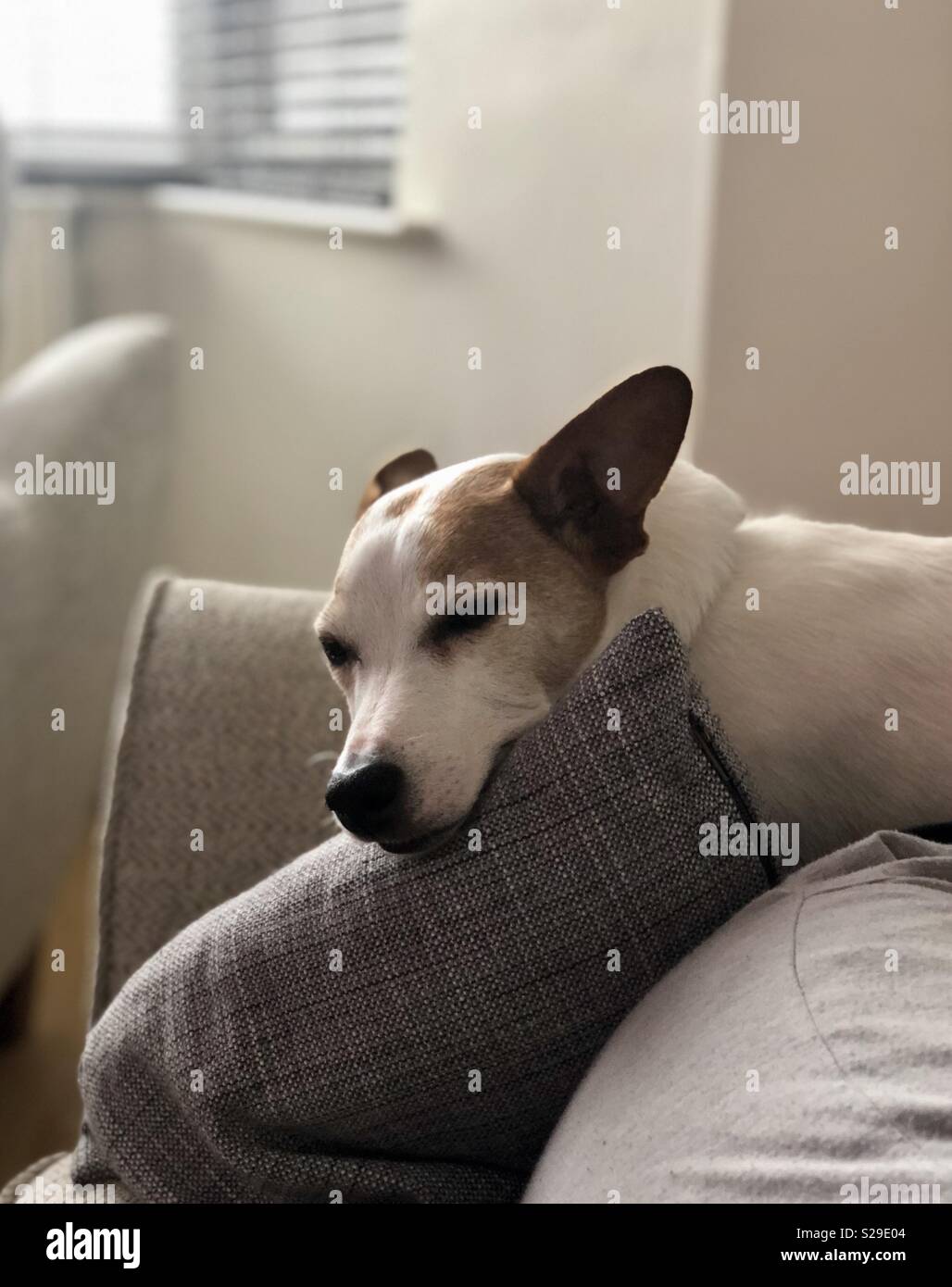 Jack spot hi-res stock photography and images - Alamy