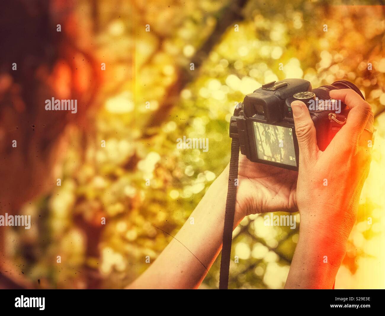 Woman shooting a photograph eith a mirrorless camera Stock Photo - Alamy