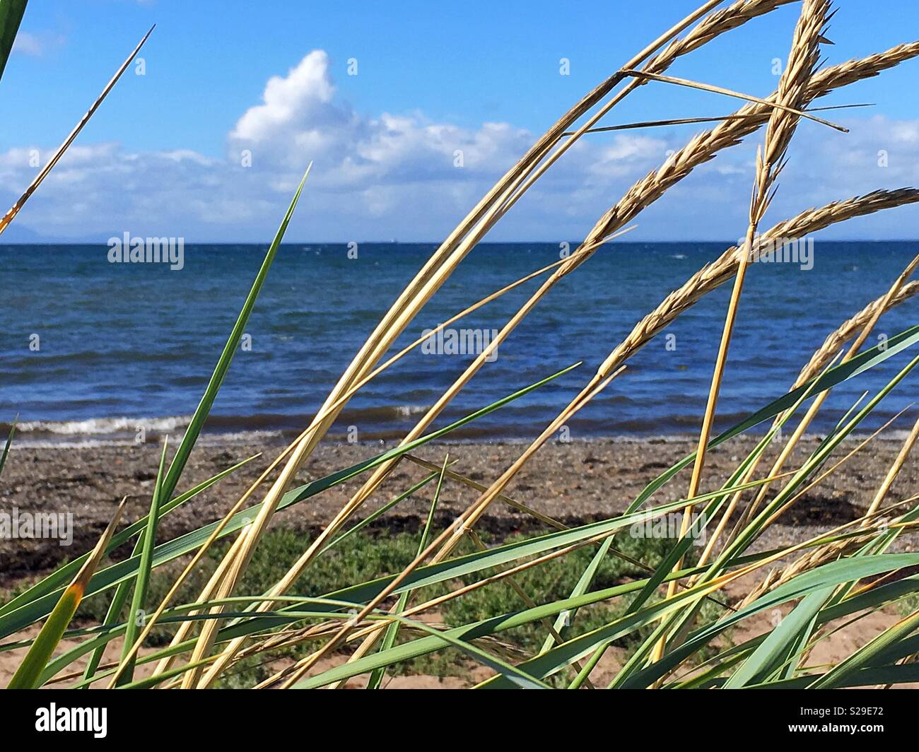 The sea at Ayr, Scotland on a lovely summer day Stock Photo - Alamy