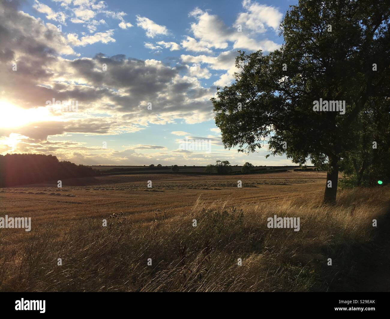 Late summer sunset hi-res stock photography and images - Alamy