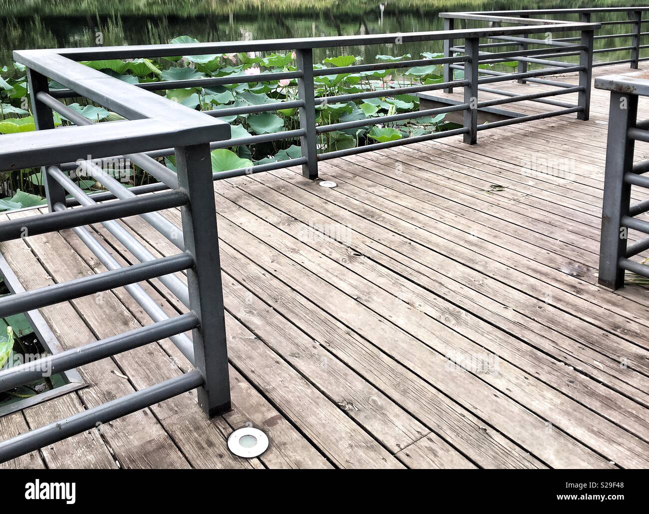 Wooden boardwalk with metal rails by a pond Stock Photo - Alamy