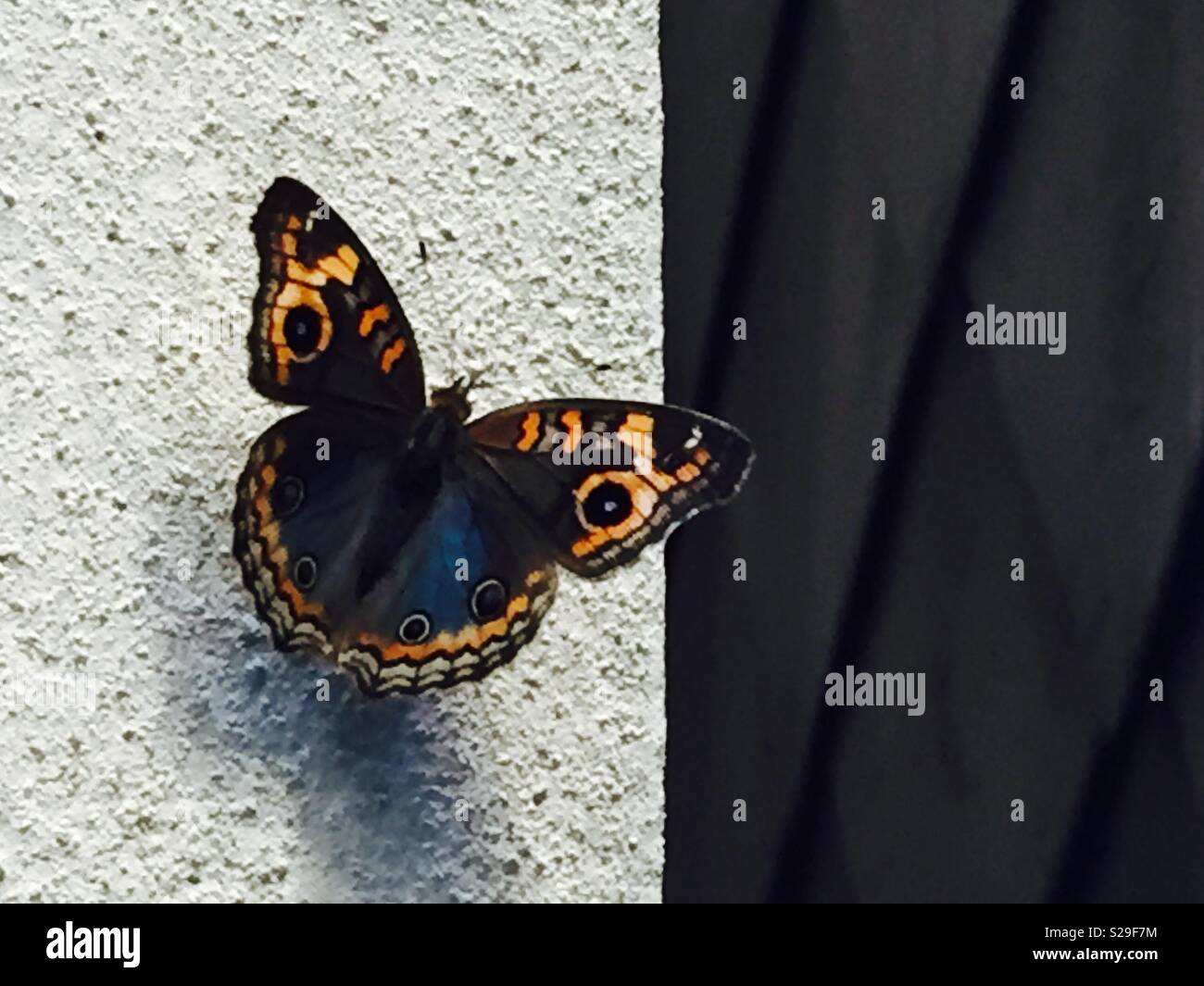 Contrast art nature hi-res stock photography and images - Alamy