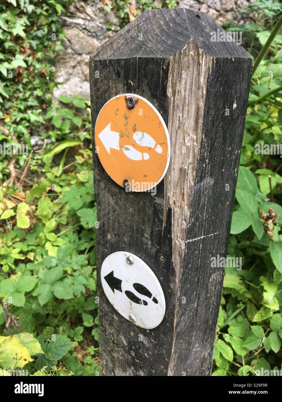 Woodland walk sign Stock Photo - Alamy