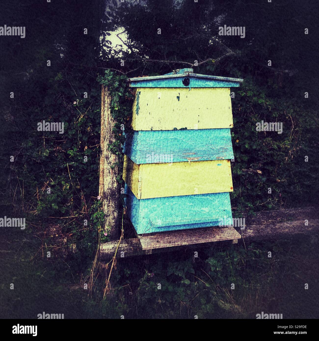 Wood bee hive hi-res stock photography and images - Alamy