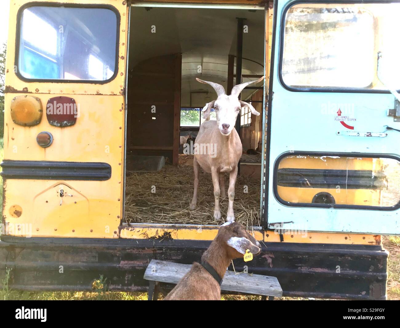 Old school bus hi-res stock photography and images - Alamy