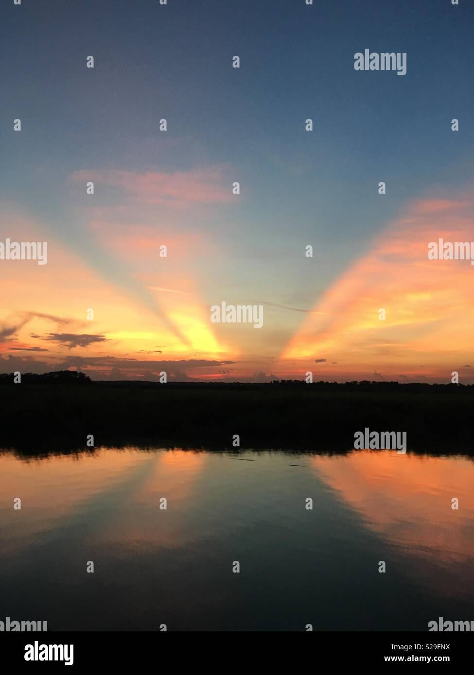 Savannah salt marsh hi-res stock photography and images - Alamy