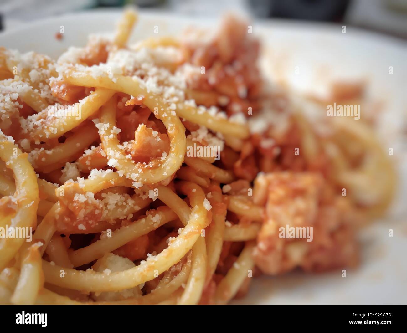 Homemade pasta bucatini amatriciana with tomato sauce, cured pork cheek ...