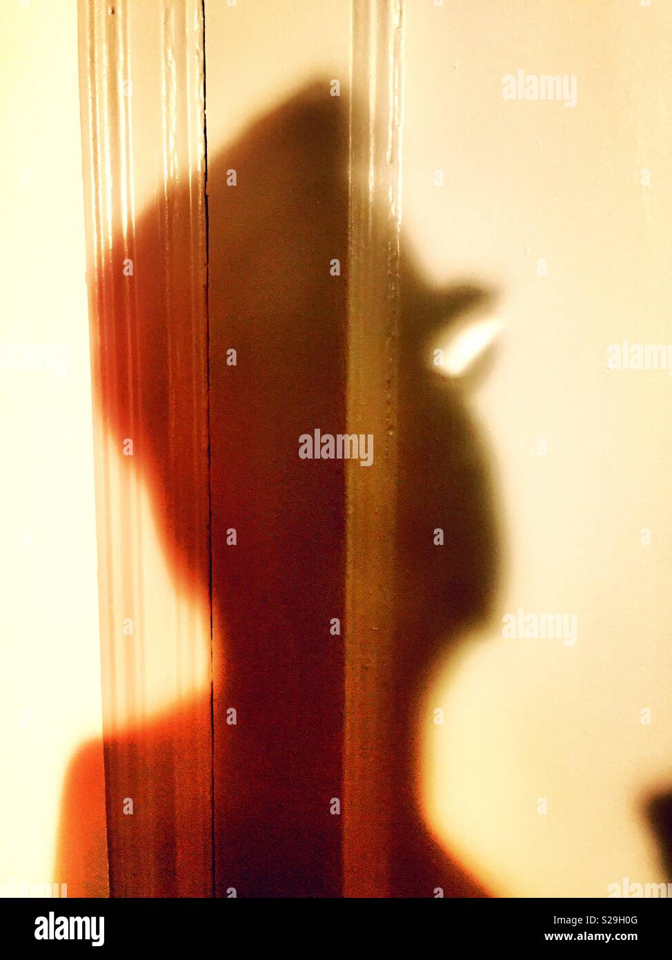 Eyeglasses shadow hi-res stock photography and images - Alamy