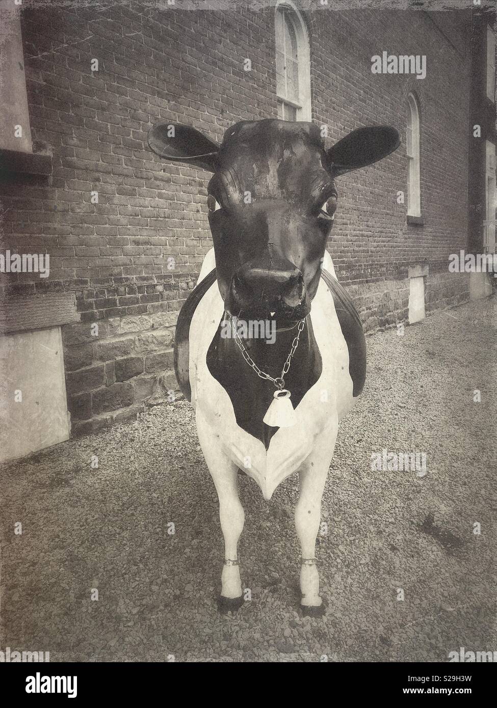 Moo building hi-res stock photography and images - Alamy