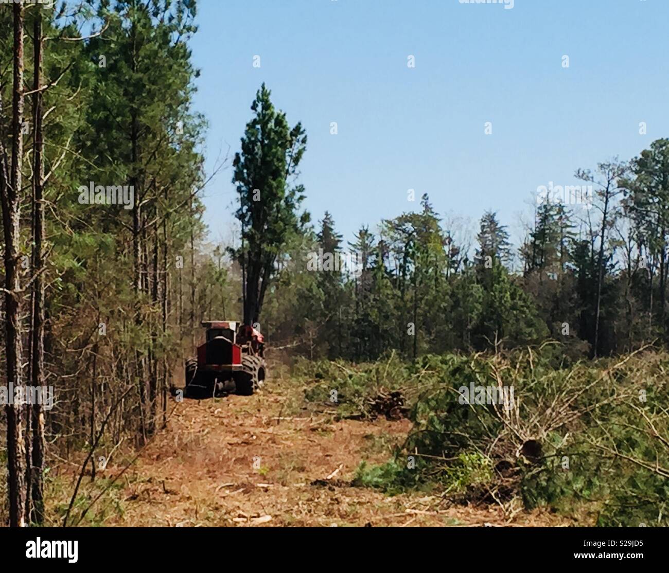 Timber harvest hi-res stock photography and images - Alamy