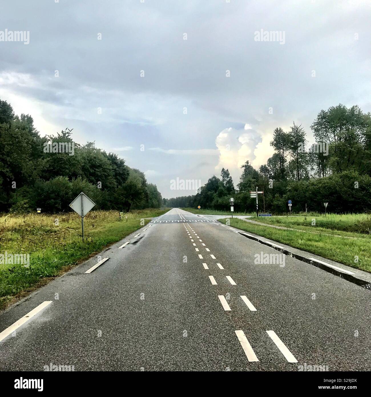 Nice view of the trees hi-res stock photography and images - Alamy