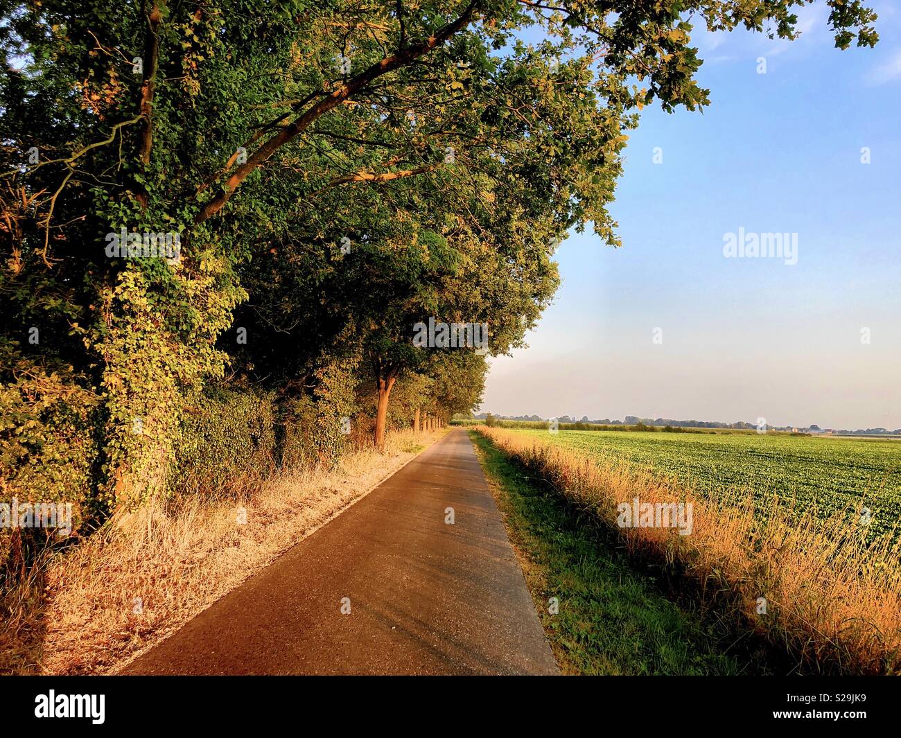 Roads in country smartphone stock photos and images - Alamy