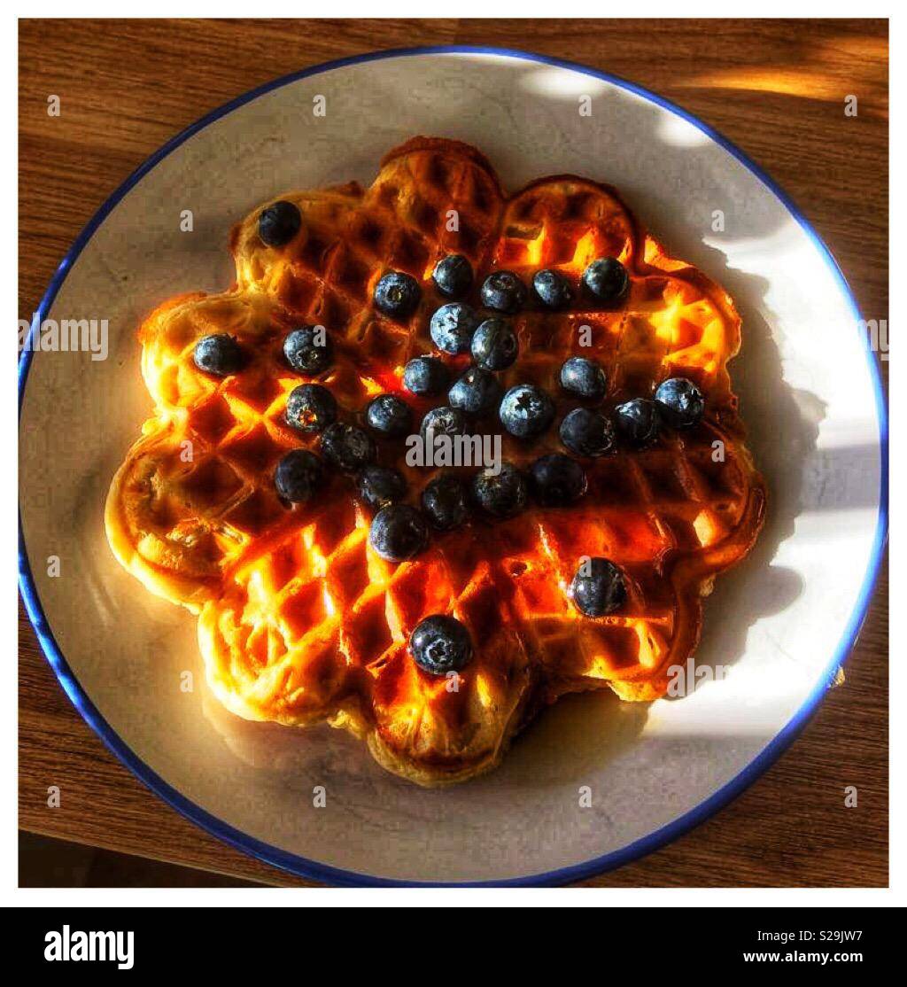 Blue waffle hi-res stock photography and images - Alamy