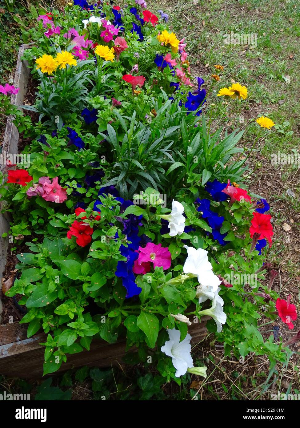 Flower planter hi-res stock photography and images - Alamy