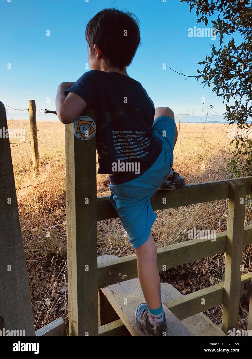 Boy on an adventure in the countryside Stock Photo - Alamy