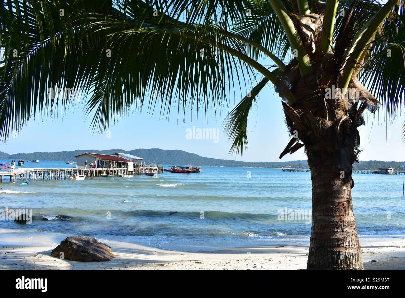 Palm tree beach view Stock Photo - Alamy