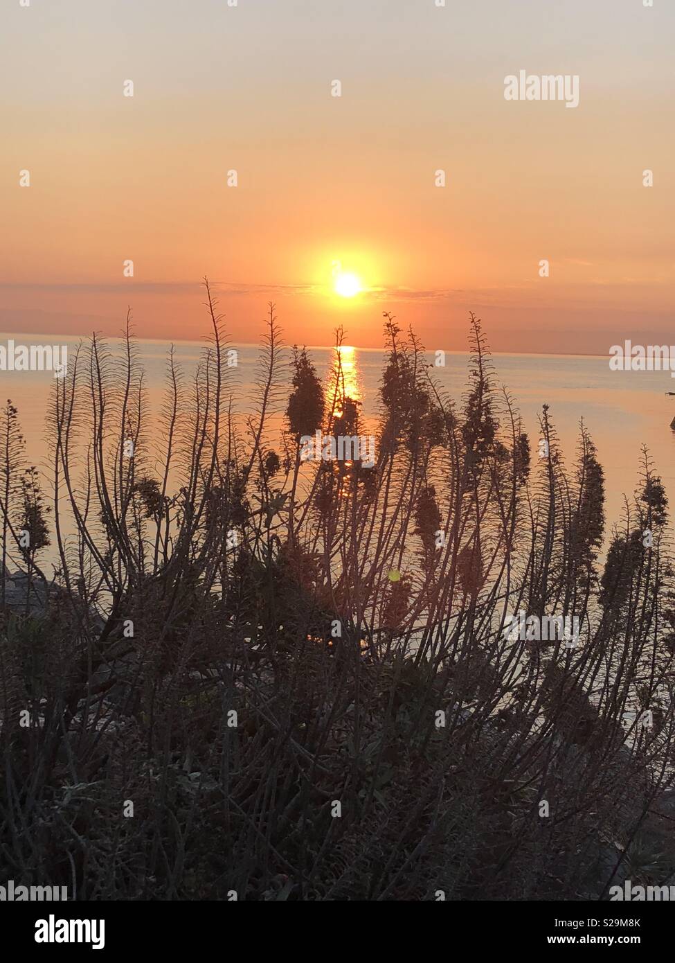 Bush sunrise hi-res stock photography and images - Alamy